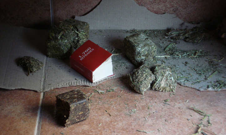 Farine de luzerne: des matières premières aux engrais - Technospeak